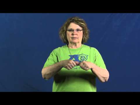 American Sign Language ASL Video Dictionary - stick down
