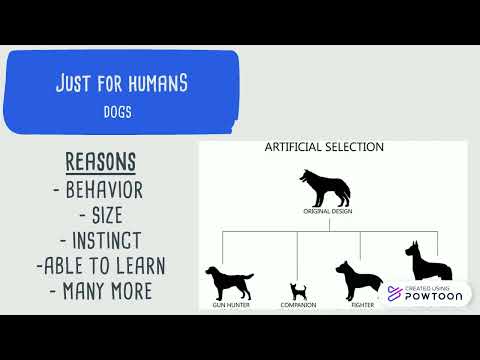 Artificial Selection