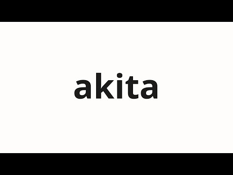 How to pronounce akita | γγγ (I'm off in Japanese)