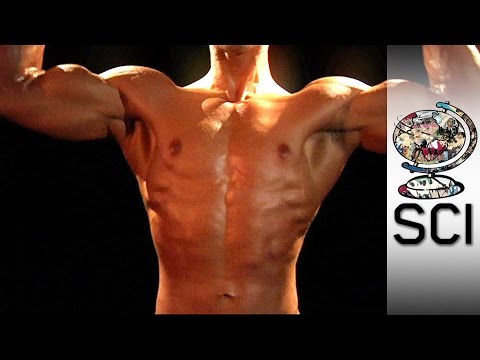 How testosterone secretly shapes our society (video) – 2D:4D digit ratio