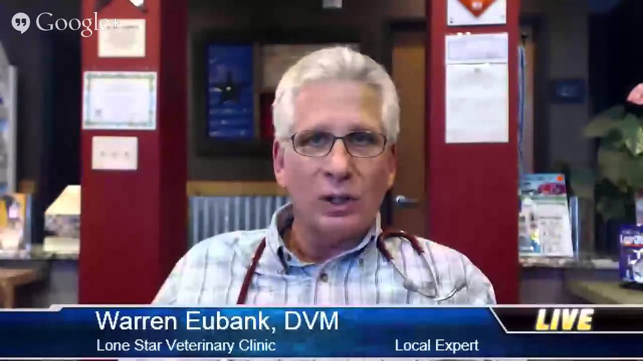 How to find the Best Veterinarian in Flower Mound - Dr. Warren Eubank