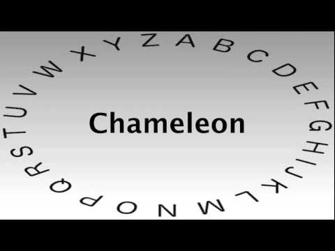 SAT Vocabulary Words and Definitions — Chameleon