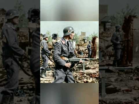 What happened to this Luftwaffe officer at Stalingrad?