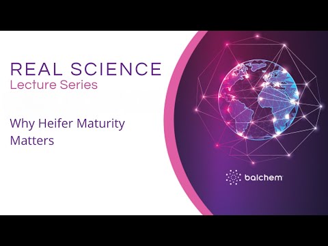 Why Heifer Maturity Matters with Dr. Gavin Staley: Real Science Lecture Series