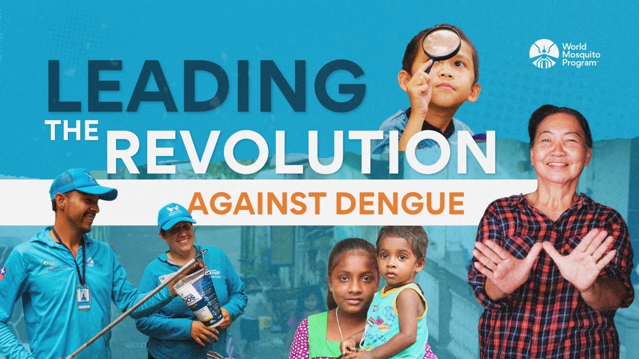 Defeating Dengue: The World Mosquito Program’s Revolutionary Approach