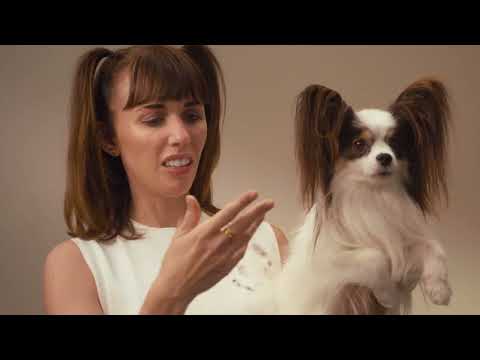 Conquer Pet Hair Like a Pro with the Maytag® Pet Pro System