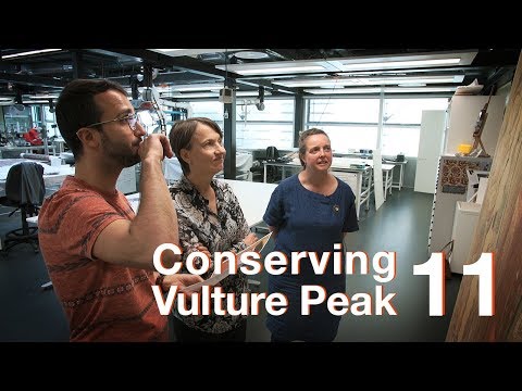 Conserving Vulture Peak I Episode 11: The results