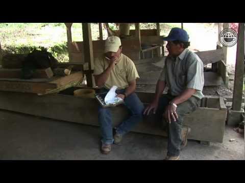 Nicaragua - Day in the Life of an Agronomist - Prodecoop