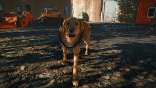 Meeting Dogmeat at Fallout 4 Nexus - Mods and community