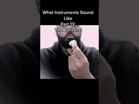 What Instruments Sound Like Part 13: The Baritone
