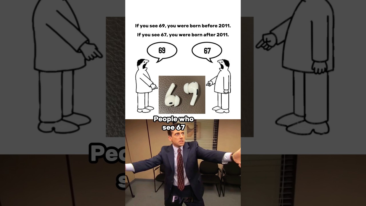 #catmemes 🫵