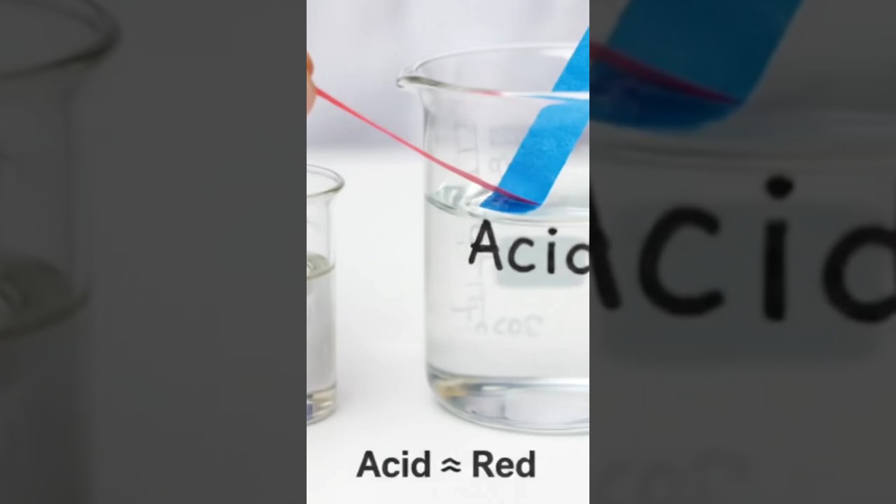 Acid vs Base: The Litmus Paper Test Explained #ScienceFacts #Chemistry #AcidsAnd #ScienceExperiment