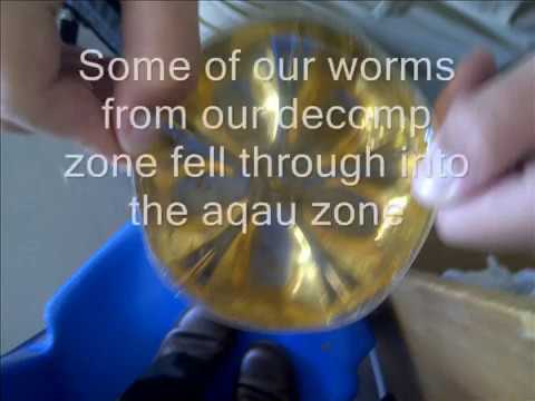 eco column movie