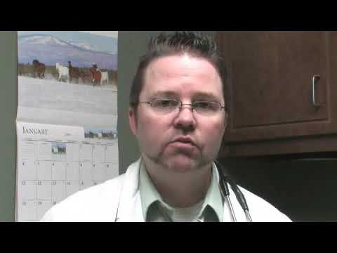 Causes of Diarrhea & Vomiting in Dogs