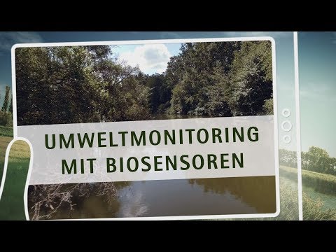 Kurt-Schwabe-Institut Meinsberg – Umweltmonitoring mit Biosensoren