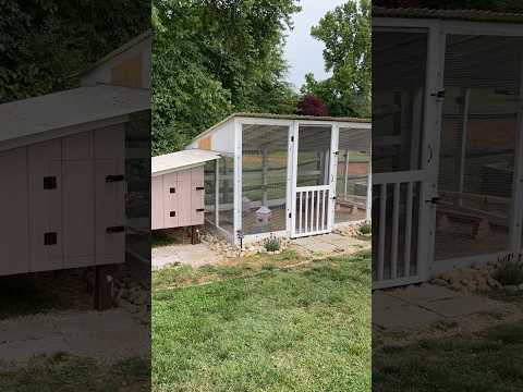 DIY Chicken Coop & Run Build