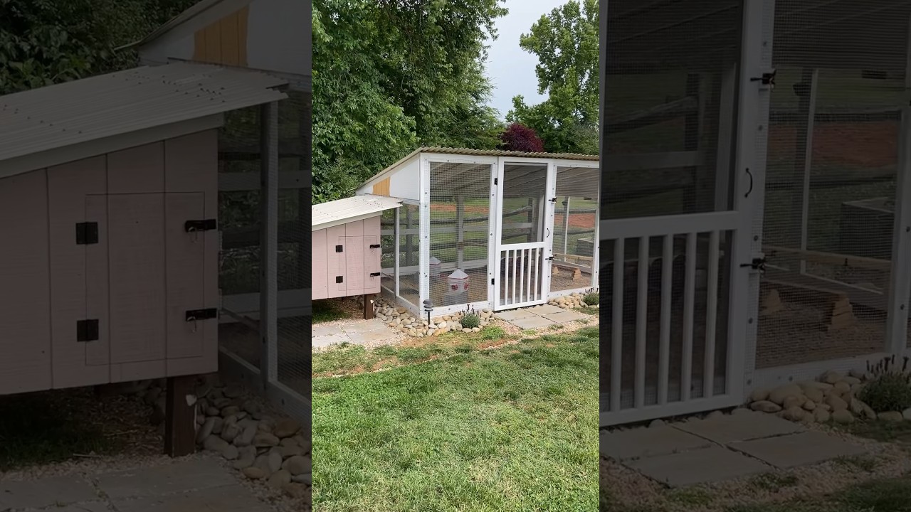 DIY Chicken Coop & Run Build
