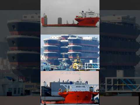 ❗ The Ship That Ships Shipping Ships 🤯🚢🤯 (Blue Marlin) #facts #shorts