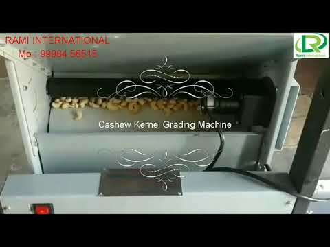 Kaju Grading Machine - Cashew Nut Grading Machine Latest Price ...