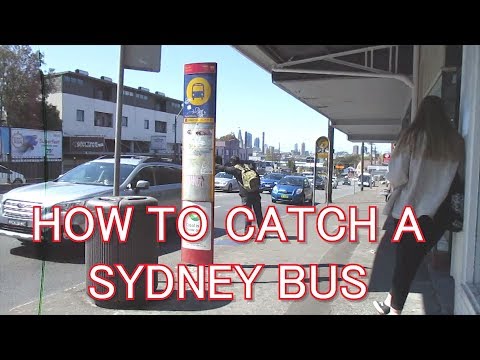Sydney Buses: How to catch a bus - Opal card tap on/off