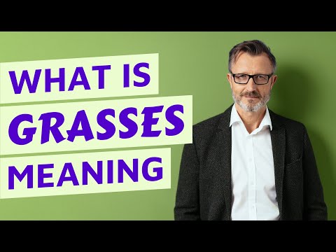 Grasses | Meaning of grasses 📖