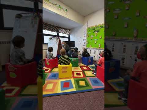 Discussion: What do insects eat? Vocabulary words: Proboscis and Mandible