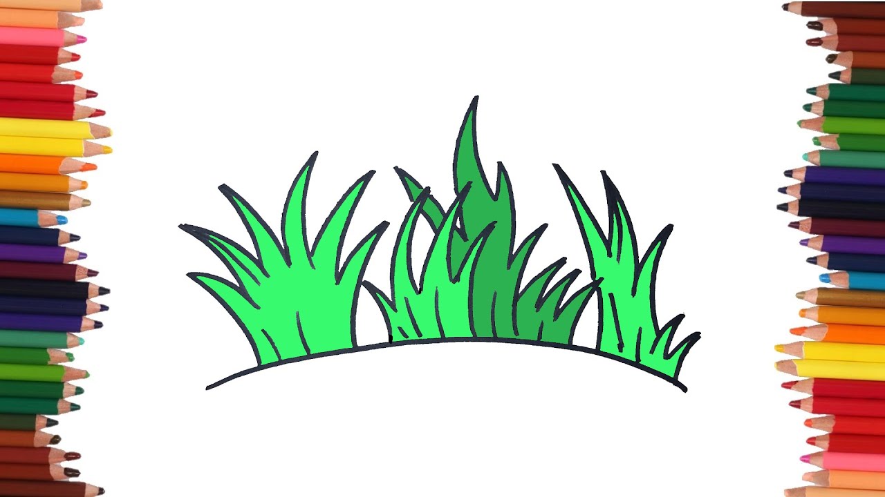 How to draw grass | Easy drawings