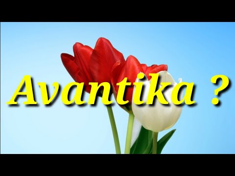 Avantika Name Status | Avantika Name Meaning | Avantika Name WhatsApp Status | Magic of Name