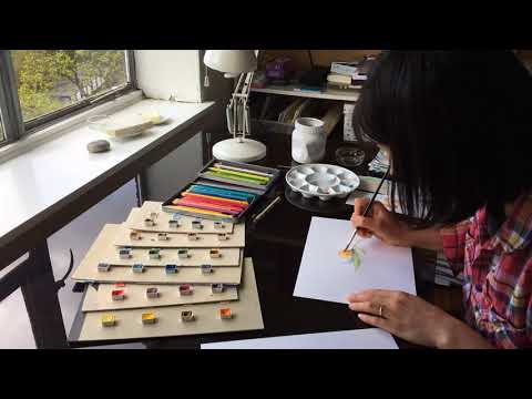 Behind-the-scenes of our Children's illustrated Dictionary