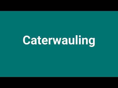 'Caterwauling' Meaning and Pronunciation