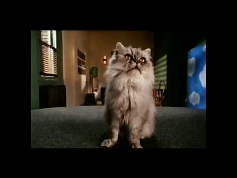 101 Dalmatians (1996) Rare Talent Search Trailer