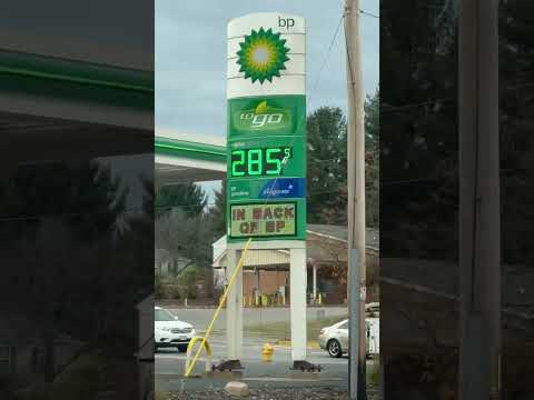 Gas Station & Car Wash Review @ BP Weston WI 16