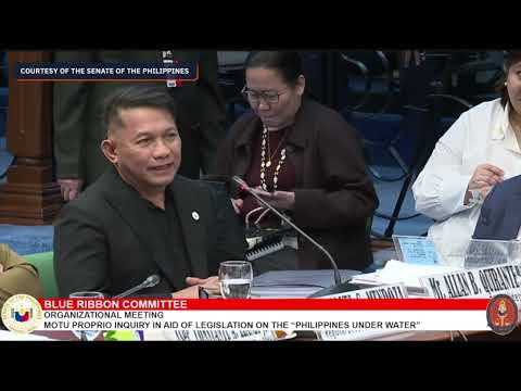 Who is Allan Quirante, top 4 flood control contractor on Marcos list?