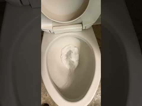 Toilet ring? Bibbity Bobbity Boop! Bar Keepers Friend & Dollar Tree Scrub Brush + 5 Minutes = CLEAN!