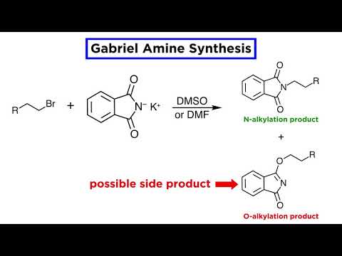 Gabriel Amine Synthesis
