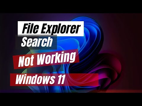 File Explorer Search Not Working Windows 11 | File Explorer Search Box Not Returning Any Results