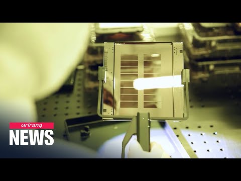 S. Korea to spend about US$ 210 million on R&D in chips
