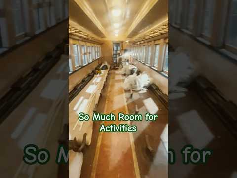 So Much Room for Activities