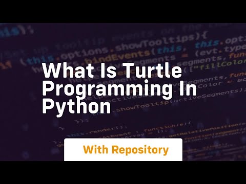 what is turtle programming in python