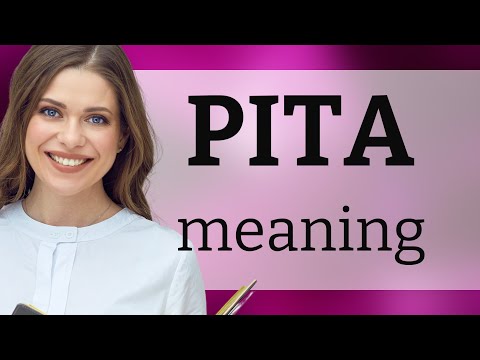 Pita β PITA meaning