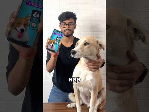 Talking To A Dog With Dog Translator