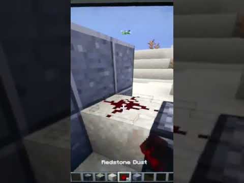 Minecraft Observer Door!