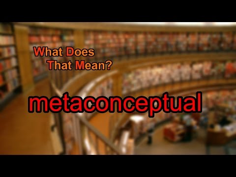 What does metaconceptual mean?