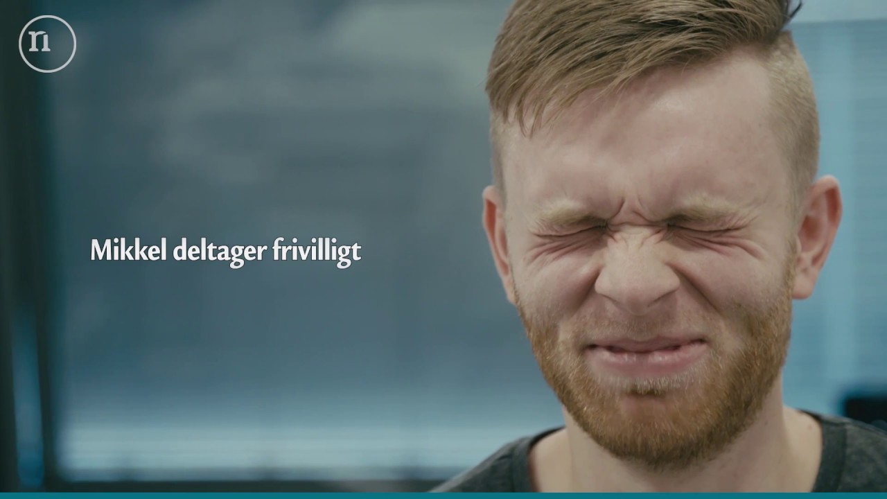 Smerteforskning