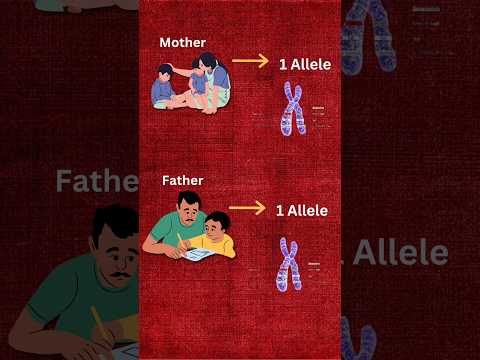 What Are Alleles? Quick Guide! 🧠 #LearnWithMe #biology
