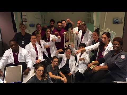 Lonestar College Radiology