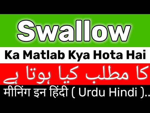 Swallow Meaning | Swallow Meaning In Urdu Hindi | Swallow Ka Matlab Kya Hai | Swallow Ka Meaning Kya