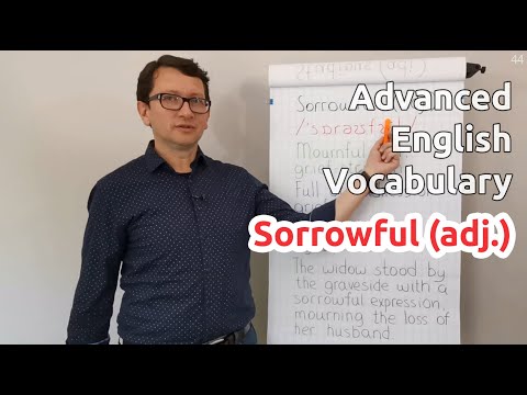 Sorrowful (adj.) - Advanced English Vocabulary - One Minute Videos