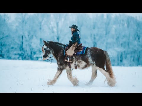 Tinker Jument 11 Ans 142 cm in Lyles, TN