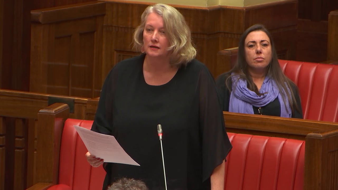 Auslan Interpreters in Public Hospitals